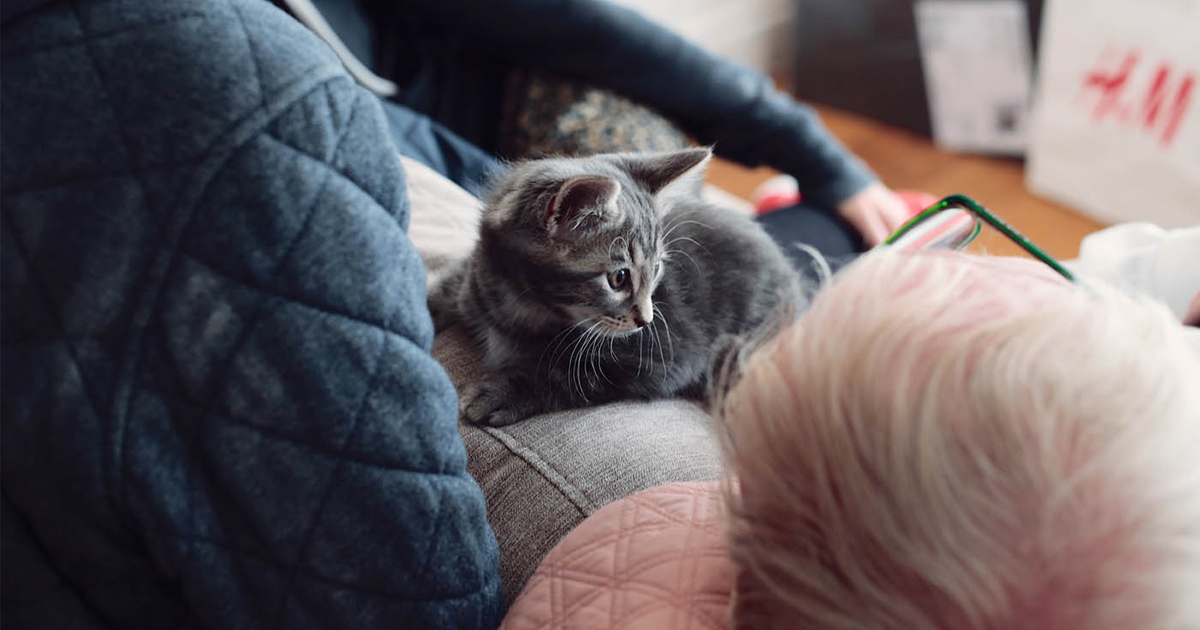 Designing a roadmap to customer loyalty - Sutherland Labs